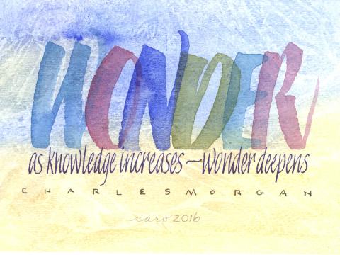 Courses | Creative Threads Conspiracy